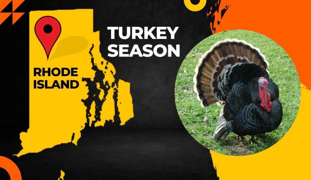 Arizona Turkey Season 2025-2026 [Dates, Regulations, Licenses & More]