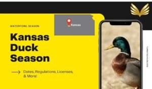 Kansas Duck Season 2023: KS Duck Hunting Guide [Dates, Rules, Limits ...